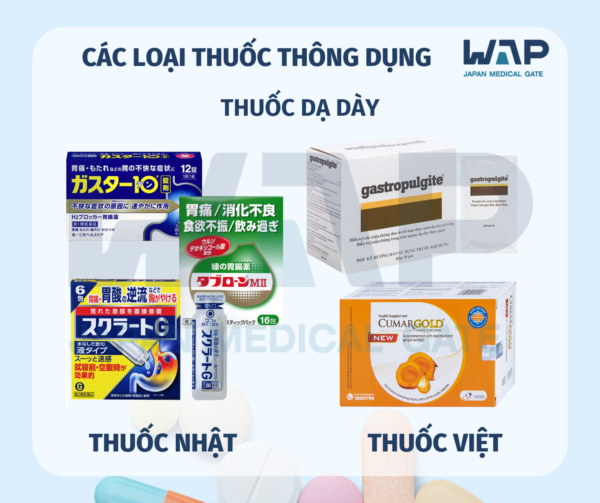🧬Thuốc Nhật - Thuốc Việt🧬Các loại thuốc thông dụng - WAP Japan Medical Gate